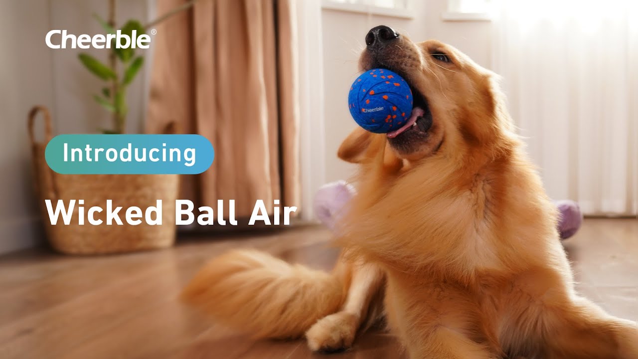 Cheerble Wicked Ball Air: Bounce into Smart Play - YouTube
