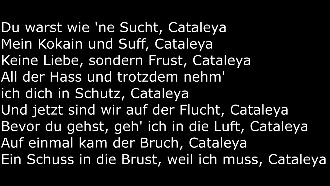 Samra - Cataleya (Official Lyrics) - YouTube