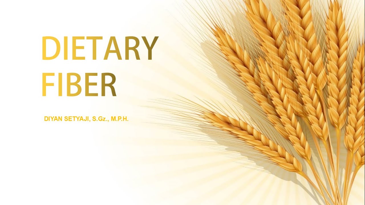 Dietary Fiber [serat pangan] - YouTube