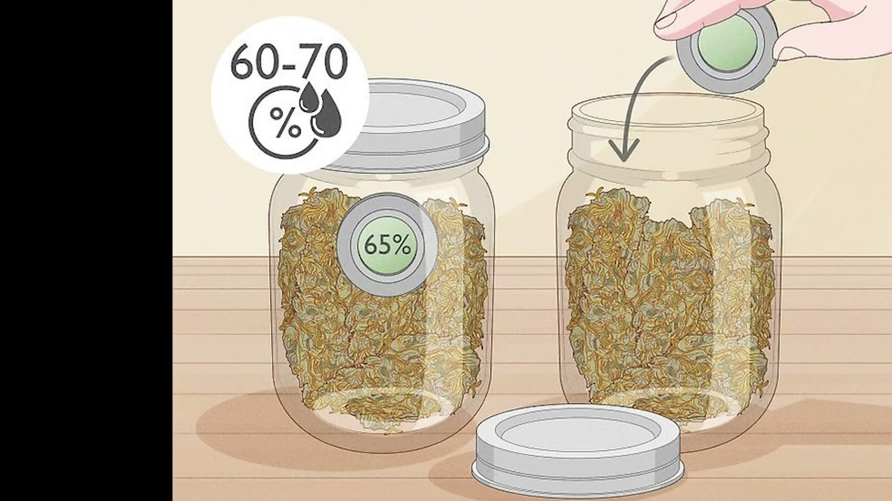 How to Dry and Cure Cannabis - YouTube