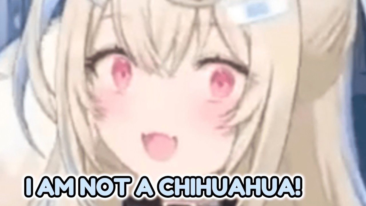 Fuwawa "Not a Chihuahua" Abyssgard [hololive / fuwamoco] - YouTube