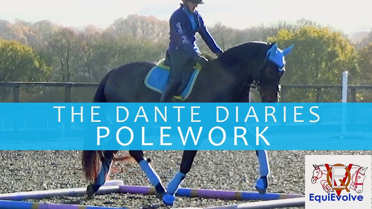 Trot Poles & Canter Pole Exercises Four Leaf Clover, Diagonal Corners ...
