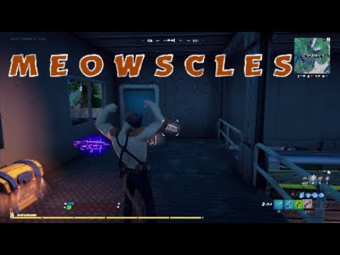 Fortnite Meowscles Versus His Son Kit - YouTube