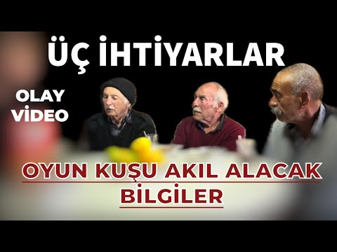 ÜÇ İHTİYARLAR OYUN KUŞUNA DAİR HERŞEY BU VİDEODA