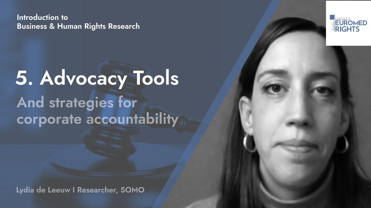 5/5 Lydia de Leeuw, Advocacy Tools and Strategies for Corporate ...