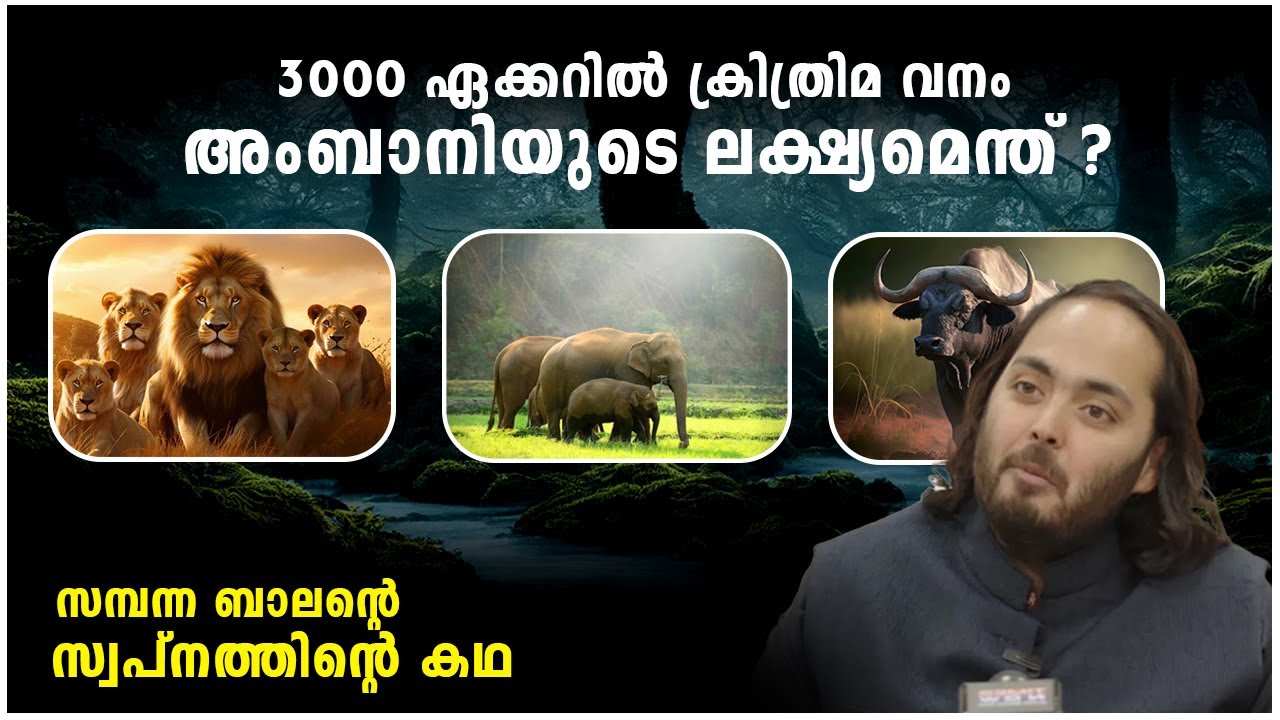 കൃത്രിമവനത്തിലൂടെ അമ്പാനിയുടെ ലക്ഷ്യമെന്ത് | Ambani's artificial forest ...
