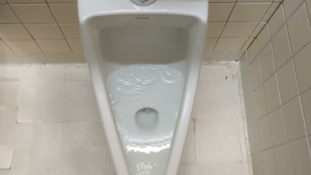 DCH Regional Medical Center | Men’s Restroom Tour | University Blvd E ...