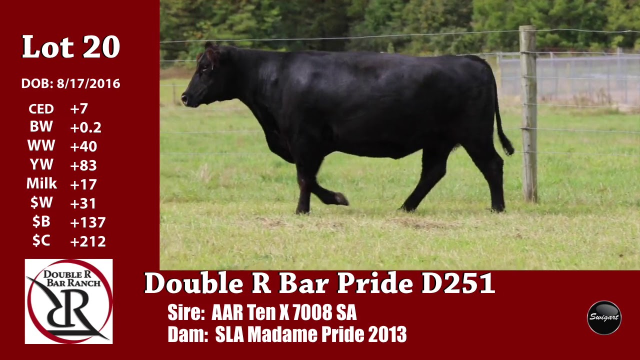 Double R Bar Lot 20 - YouTube