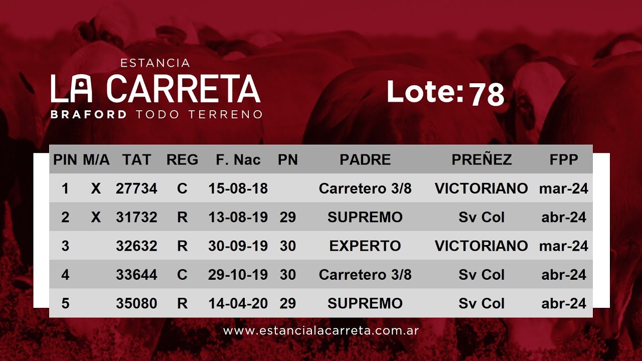 CORRAL 78 LA CARRETA - YouTube