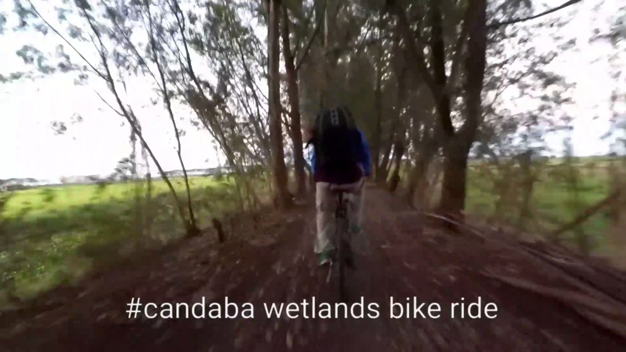 Candaba Wetlands (Bird Sanctuary) - YouTube