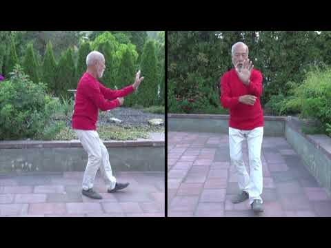 108 moves Moy TaiChi set - Move #20 Fist under Elbow