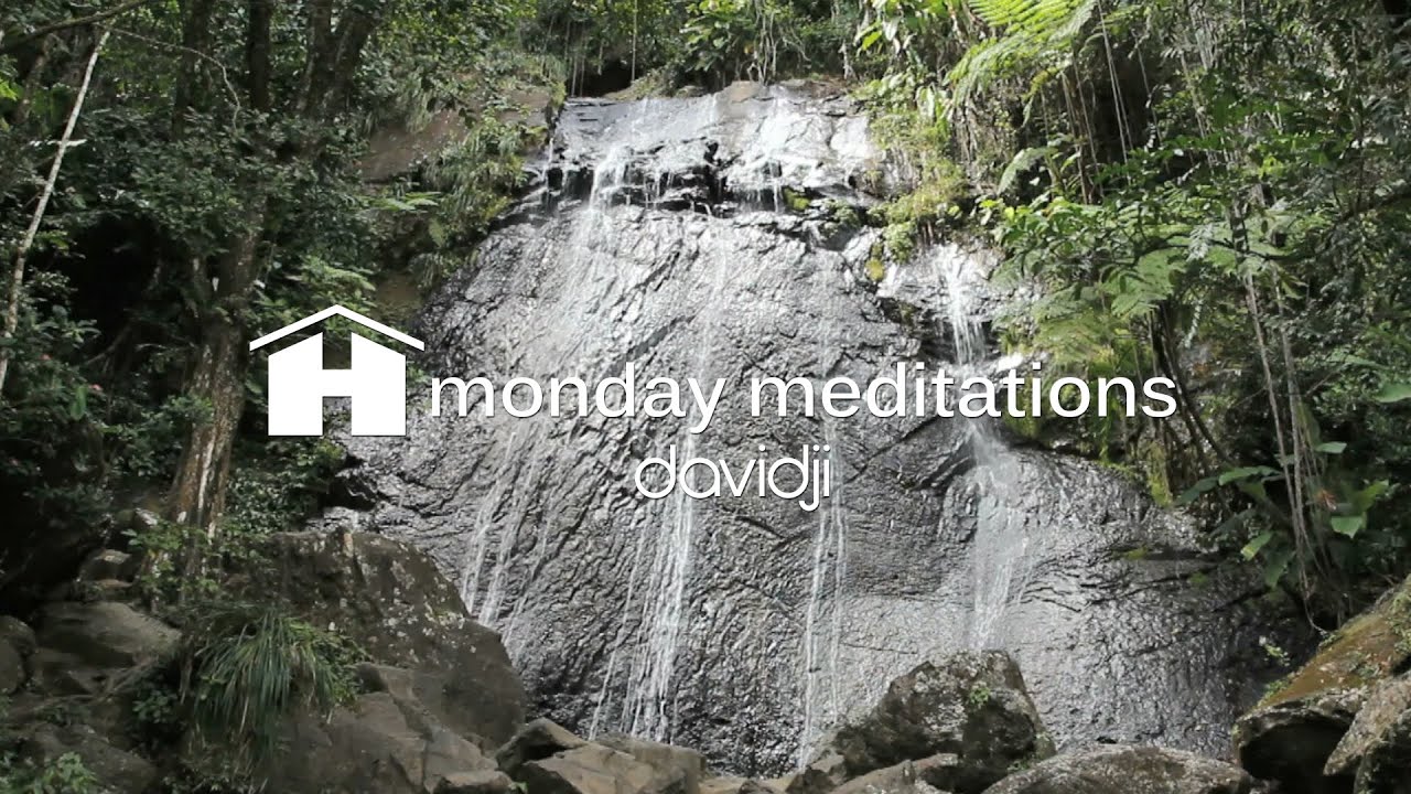 Free Guided Meditation: Water is Life by davidji ~ Monday meditations ...