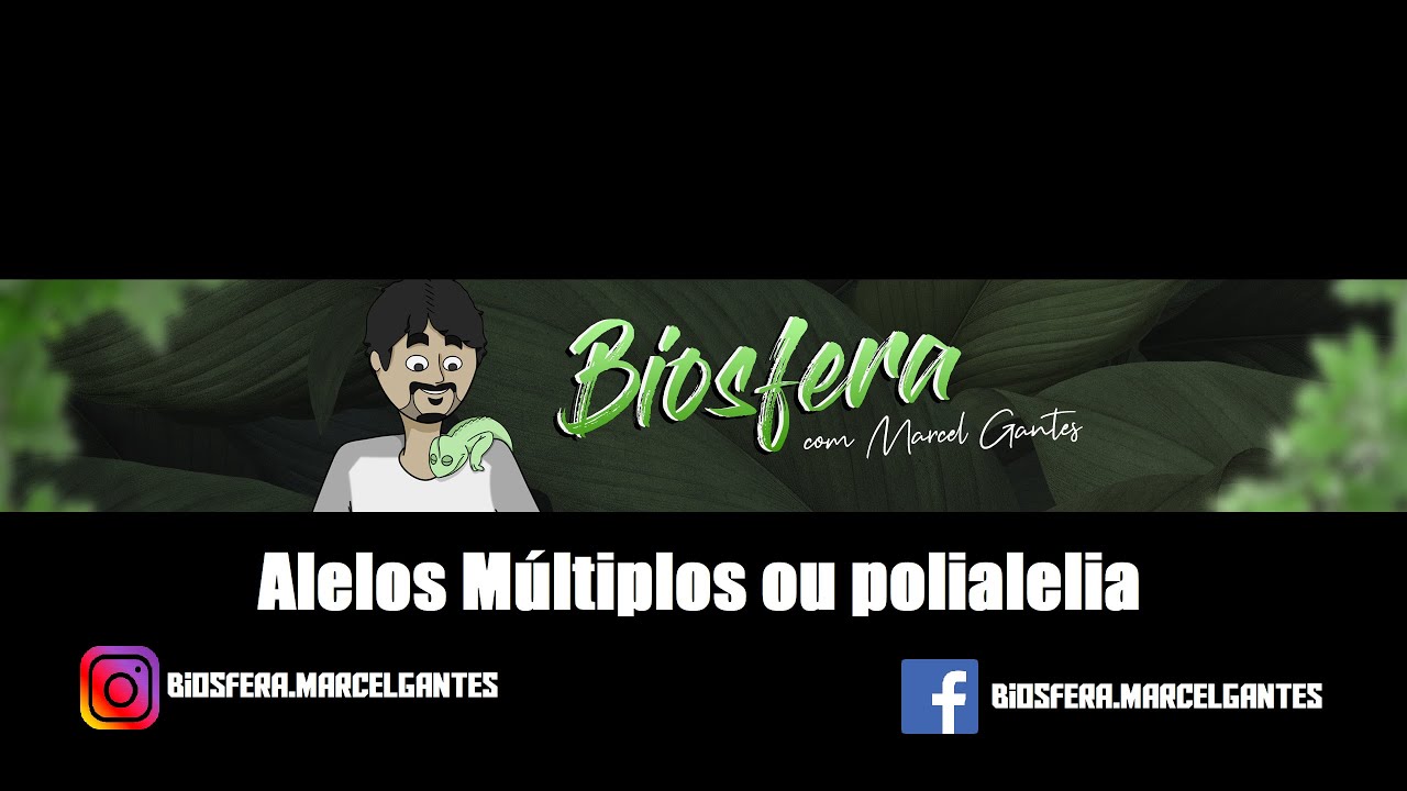 Alelos Múltiplos - Polialelia - YouTube