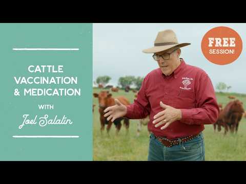 Why Joel Salatin Doesn't Vaccinate His Cattle