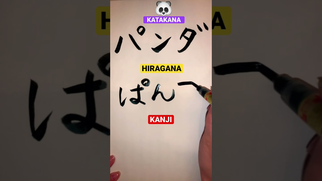 Japanese "Panda"🐼🎋【パンダ PANDA】Katakana ︎Hiragana ︎Kanji #shorts - YouTube