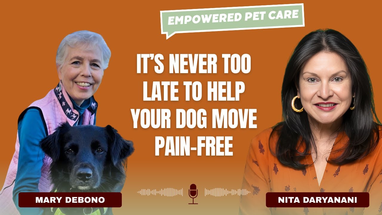 The Power of Mindset - Improve Your Pet's Mobility and Well-being with ...