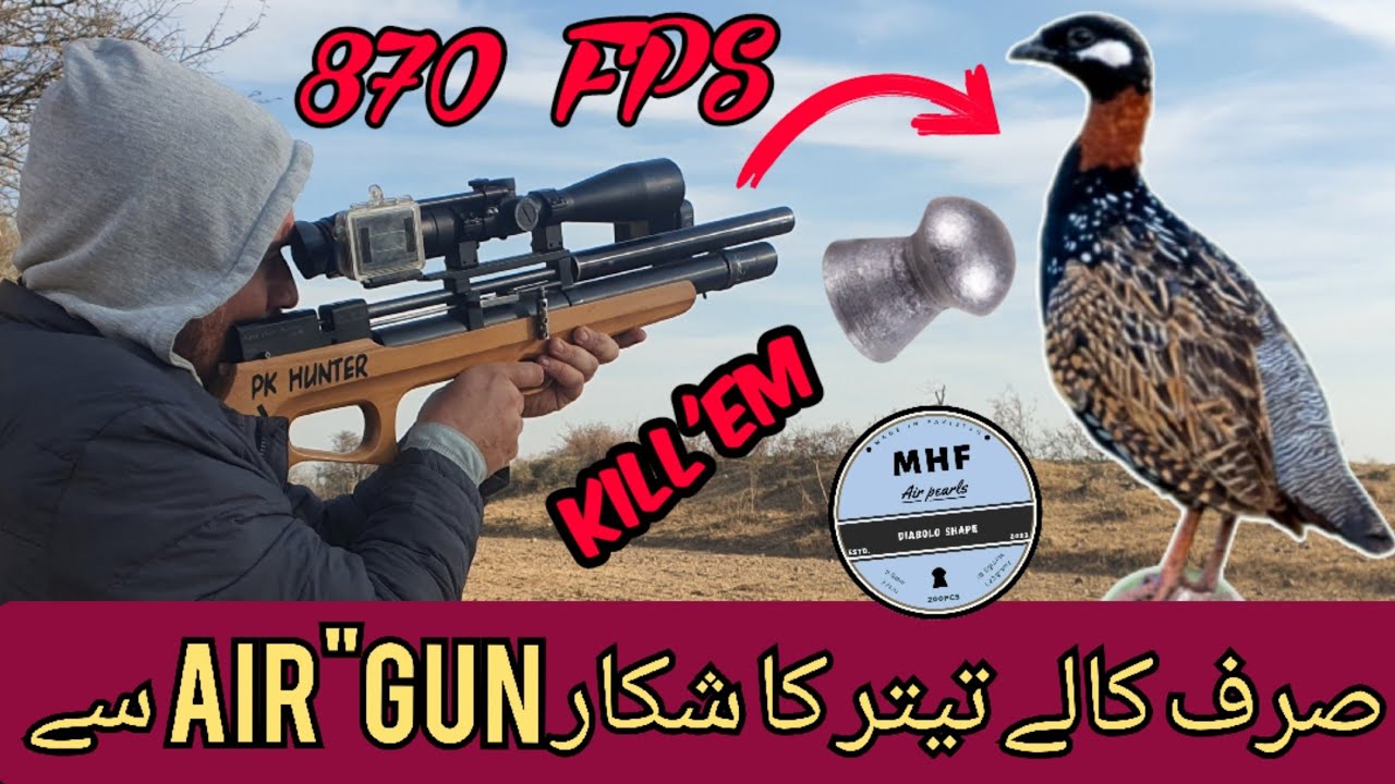 Best Black Francolin,🦃, (Teeter) Hunting Video you will Ever See | with ...