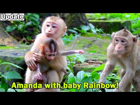 Cute baby Amanda try help mom Libby take care noisy baby Rainbow