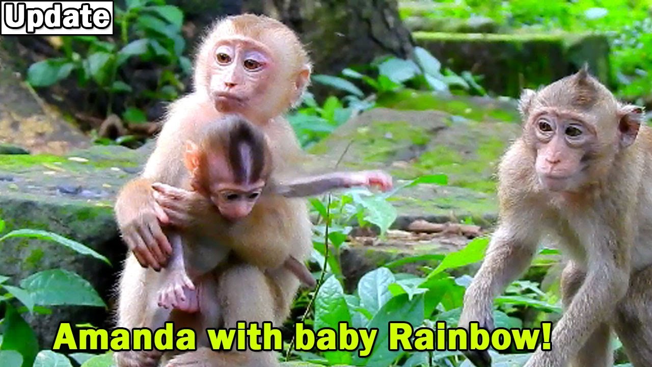 Cute baby Amanda try help mom Libby take care noisy baby Rainbow - YouTube