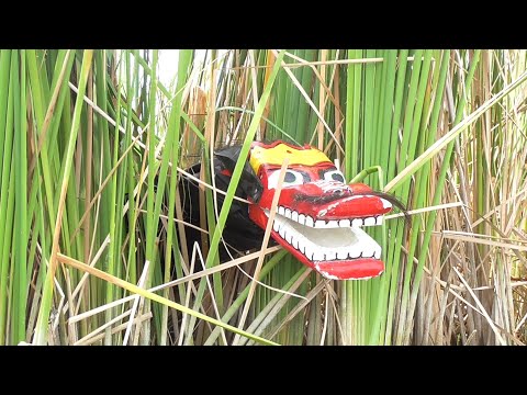 BARONGAN MERAH PENUNGGU RAWA