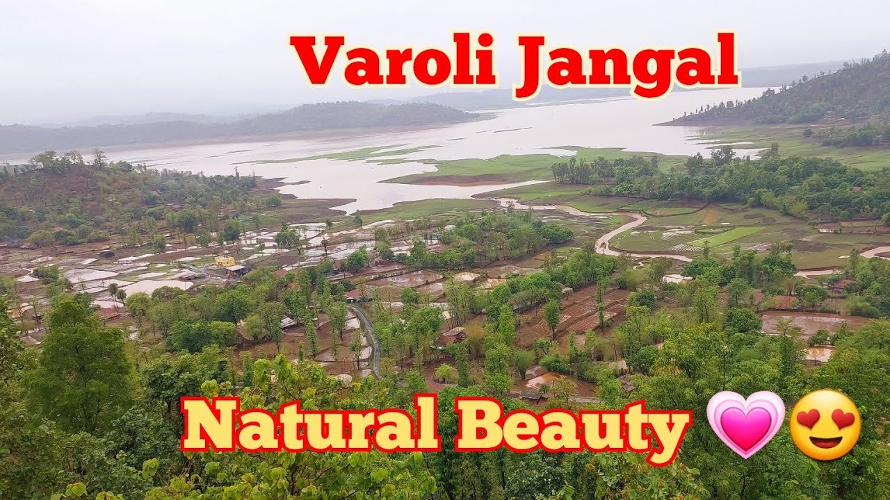 Exploring the Beauty of Varoli Jangal Traveling - YouTube