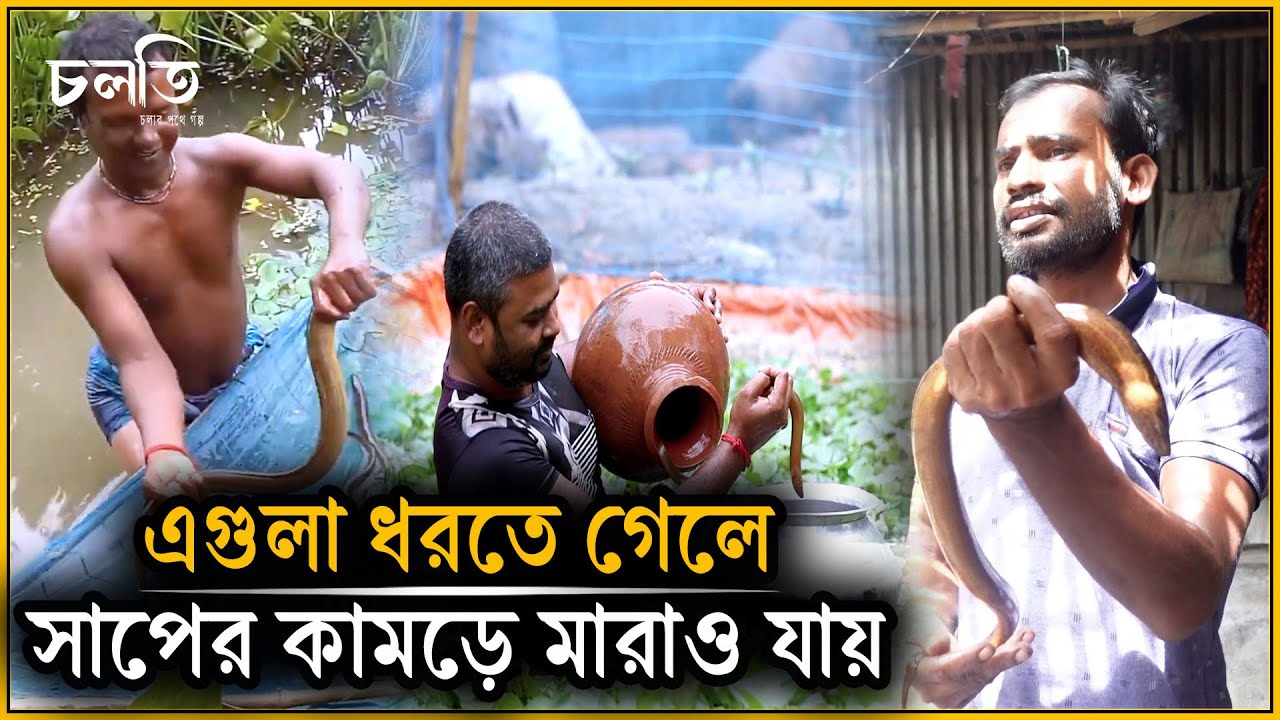 “মহিলাদের জন্যে এক নাম্বার ওষুধ” | Cuchia Fish | চলতি - YouTube