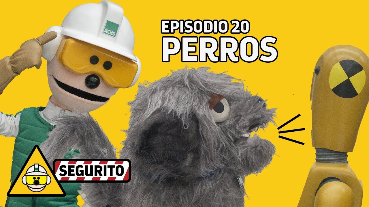 Segurito - Episodio 20 - Perros - YouTube