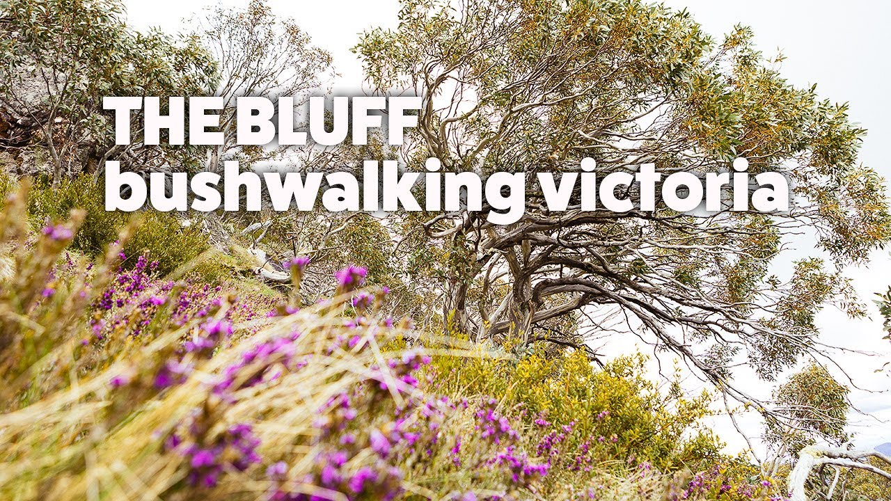 The Bluff Hut Track - Bushwalking Victoria - YouTube