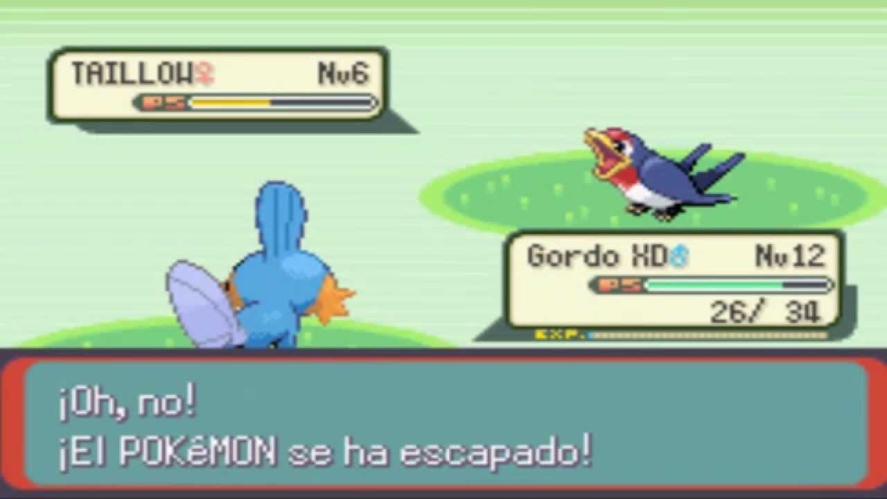Pokemon Esmeralda -Gaspar El Amo- Parte 3 - YouTube