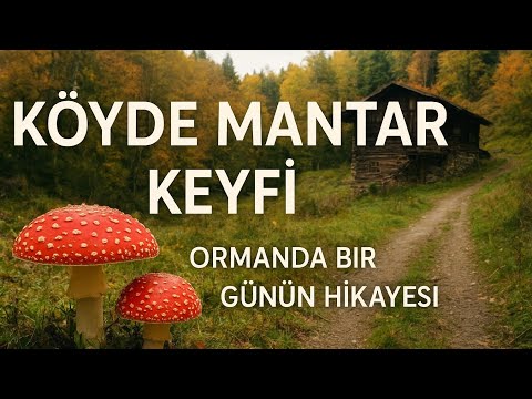 Köyde Mantar Keyfi – Ormanda Bir Günün Hikayesi #keşfet #shorts #viral #viralvideo 