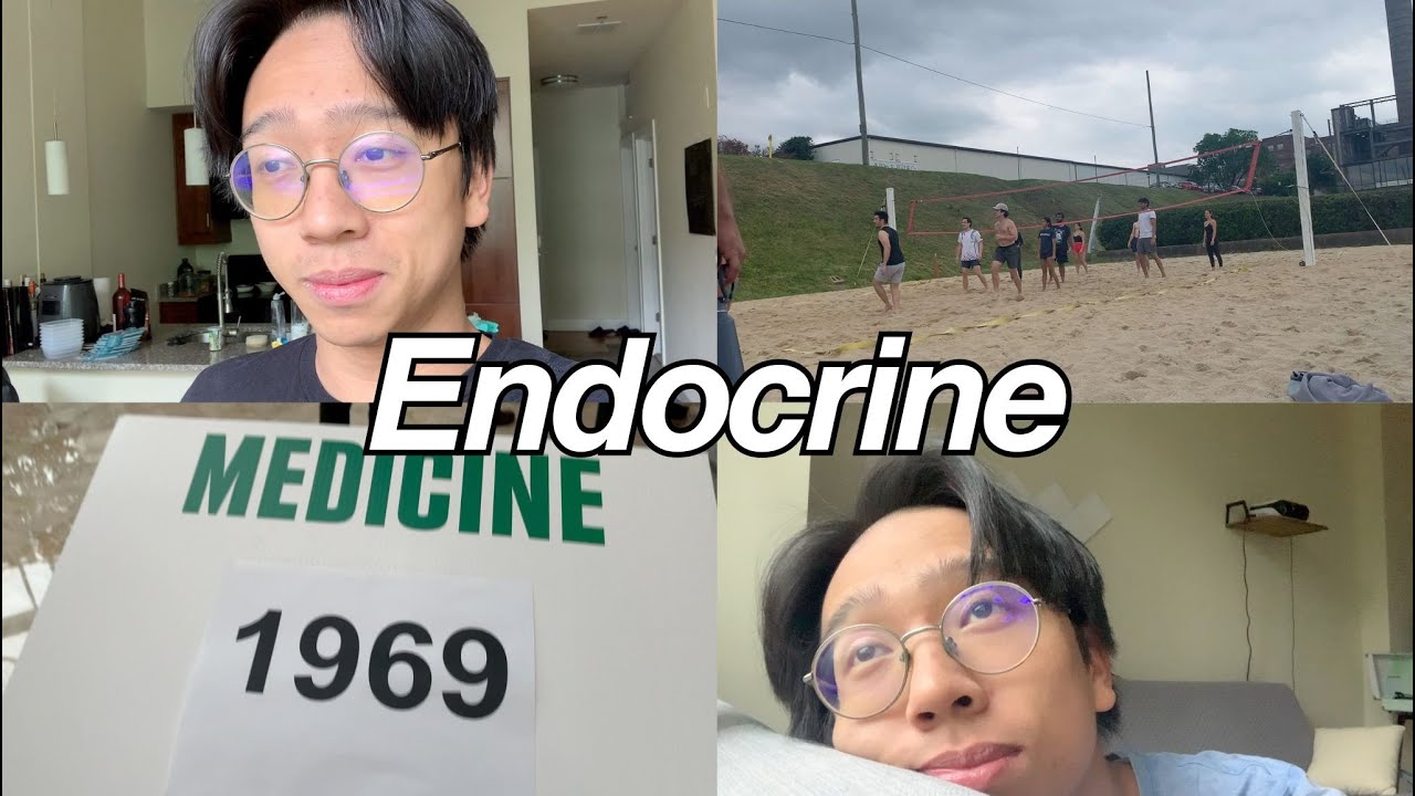 Another week of medical school || Endocrine block - YouTube