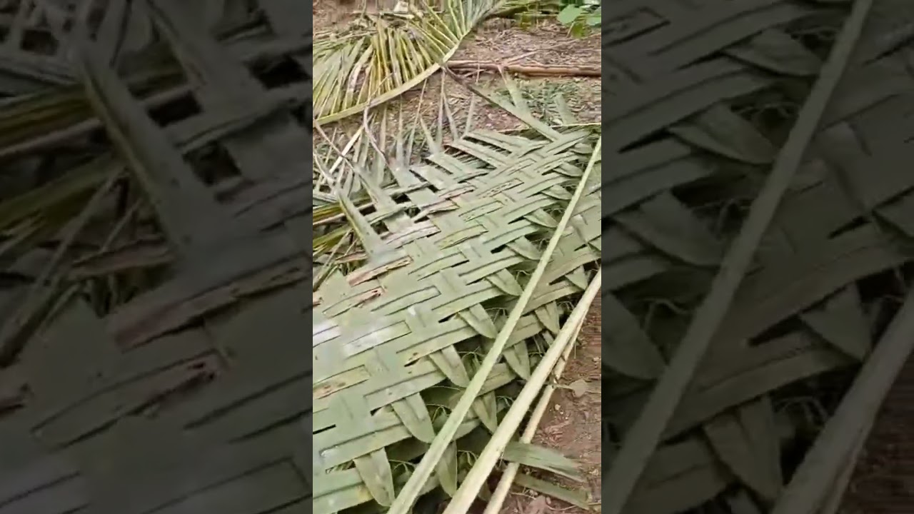 "SULIRAP" -WAY OF WEAVING COCONUT LEAF FOR HUT HOUSES ROOF OR WALL🙏🫰 ...