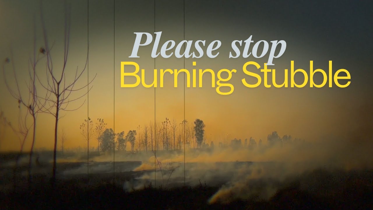 Stop Stubble Burning: Protect Our Future | Environmental Awareness ...