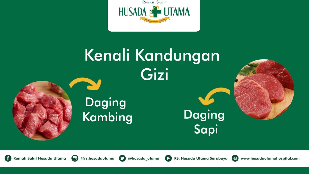 Kenali Kandungan Gizi Daging - RS Husada Utama Surabaya - YouTube