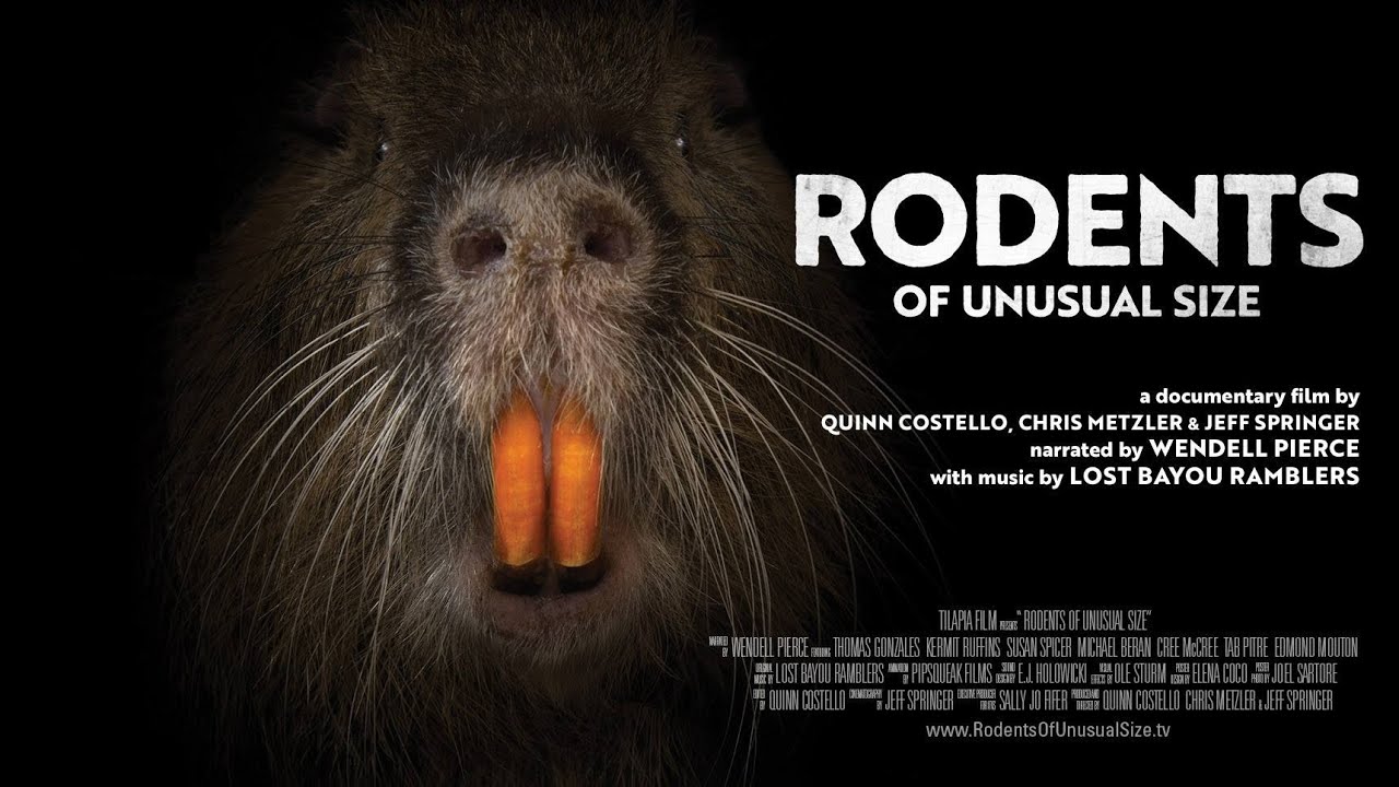 Rodents of Unusual Size (2017) - Theatrical Trailer - YouTube