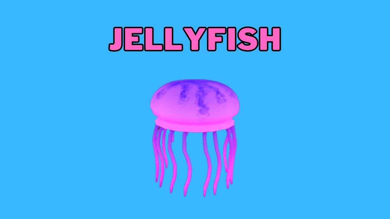 Where To Find Jellyfish 🪼 in Wacky Wizards | Jellyfish Location - YouTube
