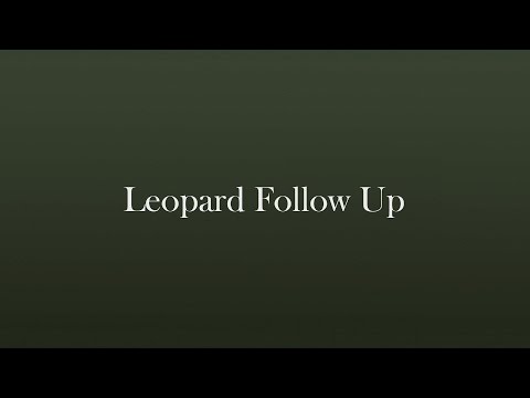 HEYM Field Notes - Leopard Follow up