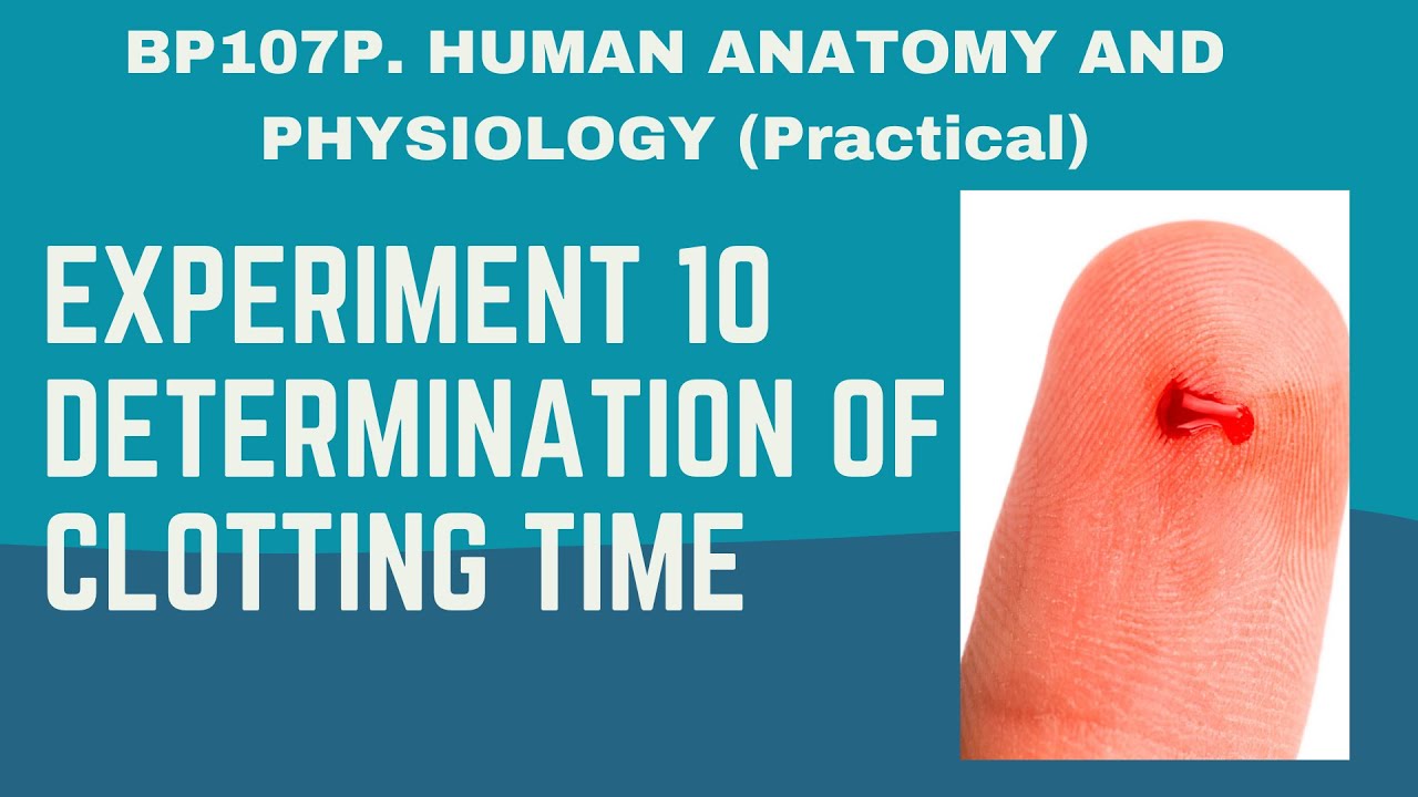 Experiment 10. Determination of Clotting Time | HUMAN ANATOMY AND ...