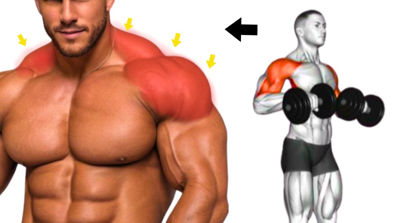 shoulder day - 5 best exercises to builde a wider shoulder - YouTube