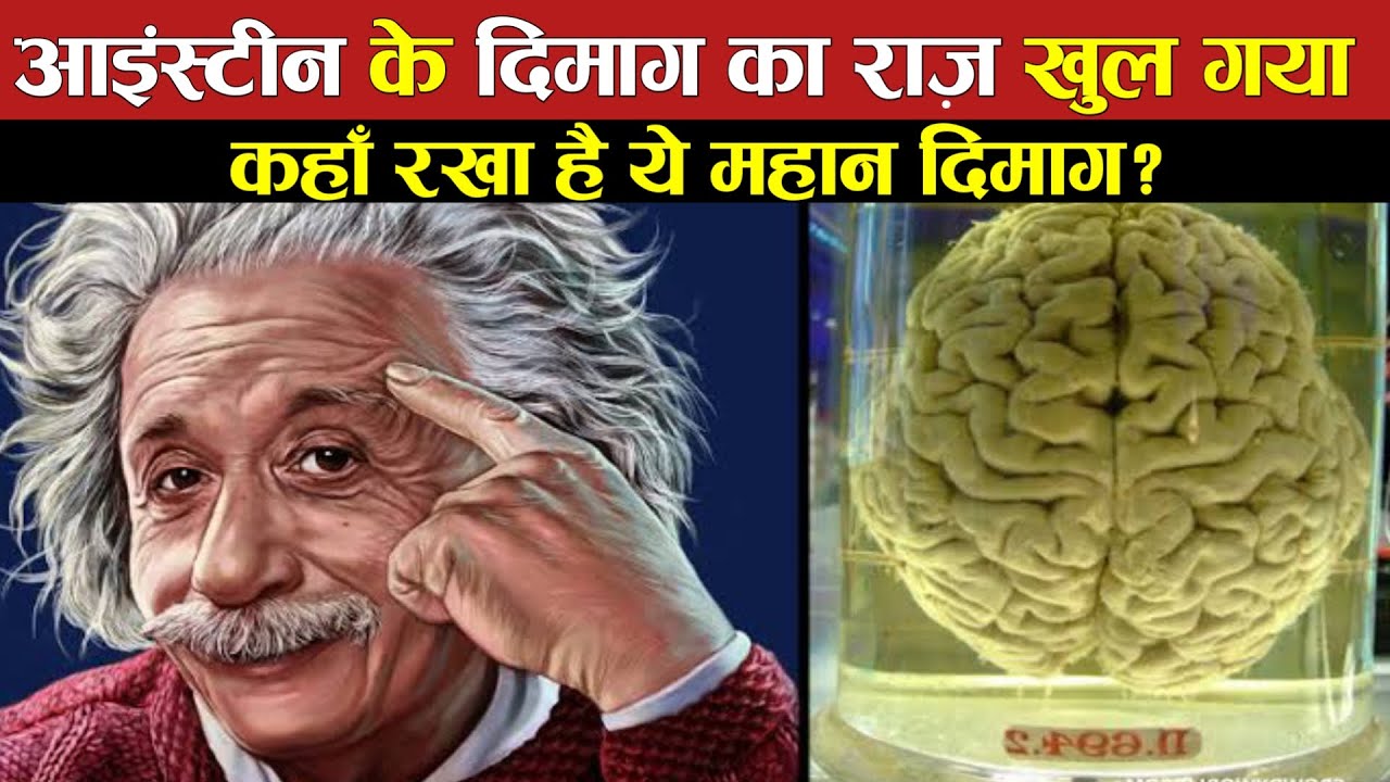 What Made Albert Einstein A Genius Person ? || आइंस्टीन का दिमाग कैसे ...