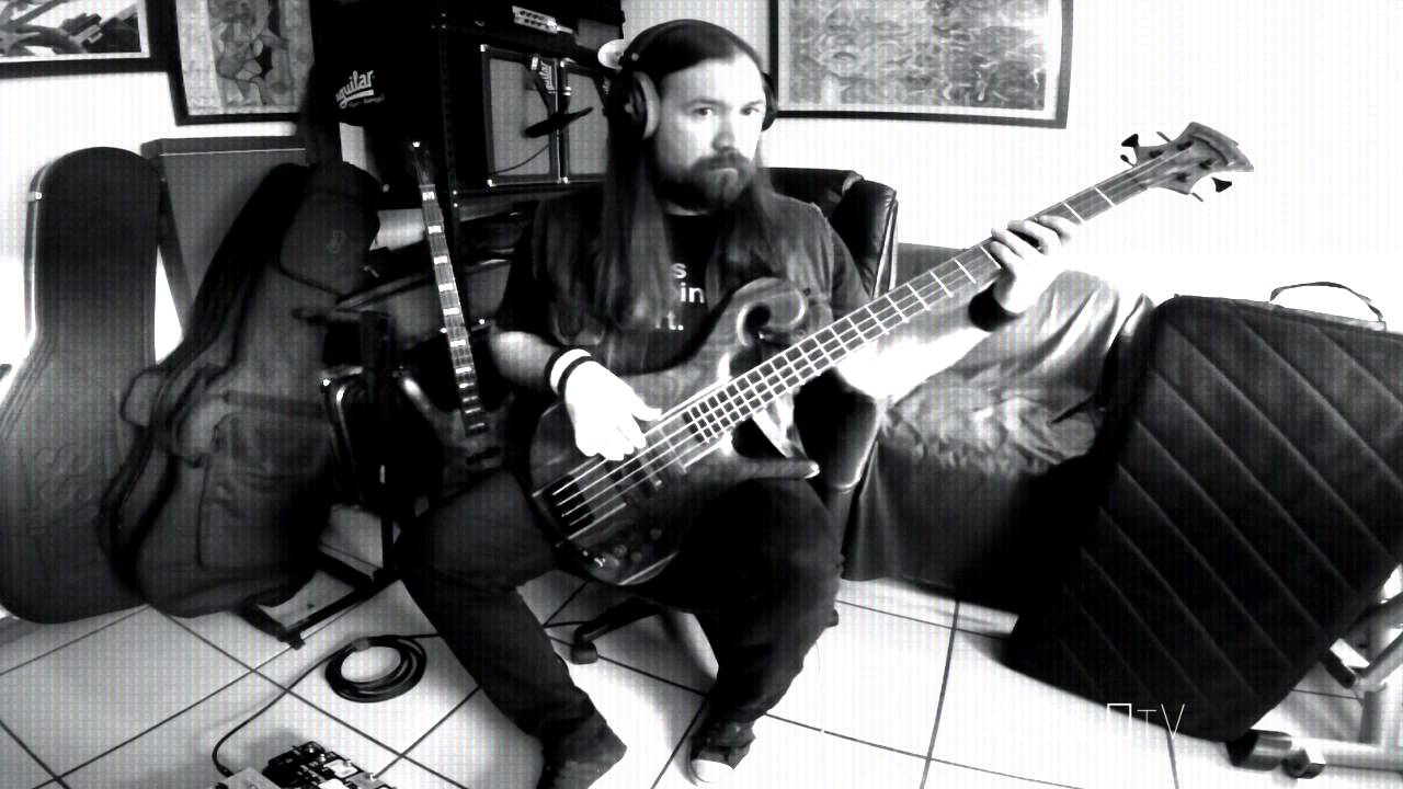 Primus - "Wynona's Big Brown Beaver" (Bass Cover) - YouTube Music