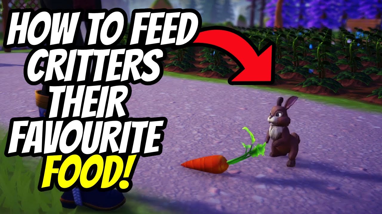 How To Feed Critters Their Favourite Food UPDATED - YouTube