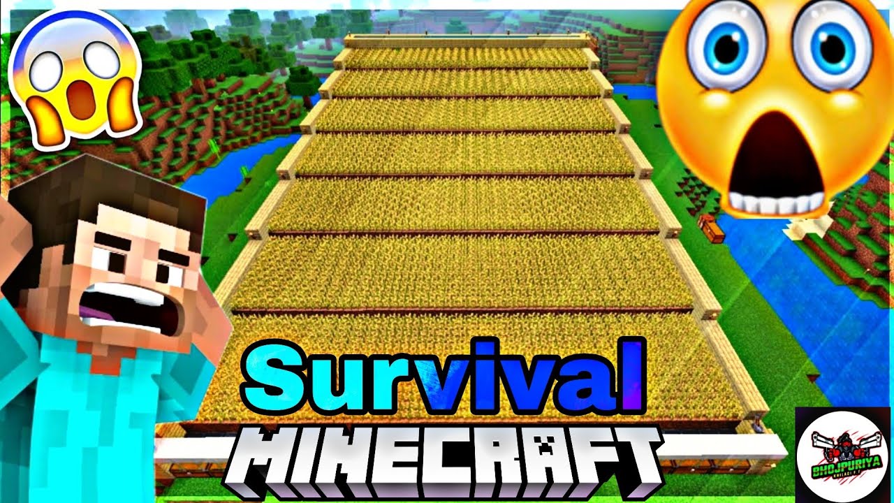 I Build a Biggest Wheat Farm In Minecraft Survival World ( BHOJPURIYA ...