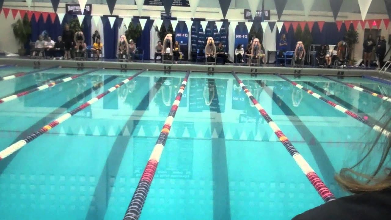 Adelphi Swimming NE-10 Championships 2015 - YouTube