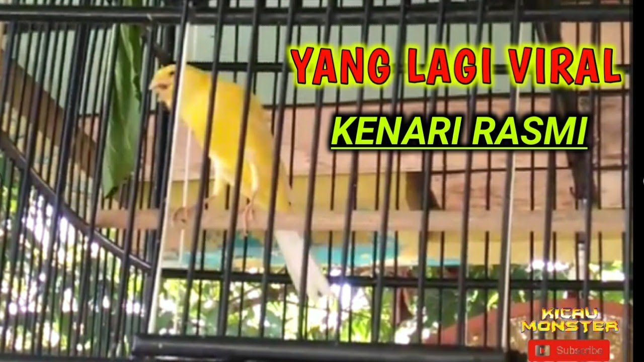 KENARI RASMI KENARI 2020 - YouTube