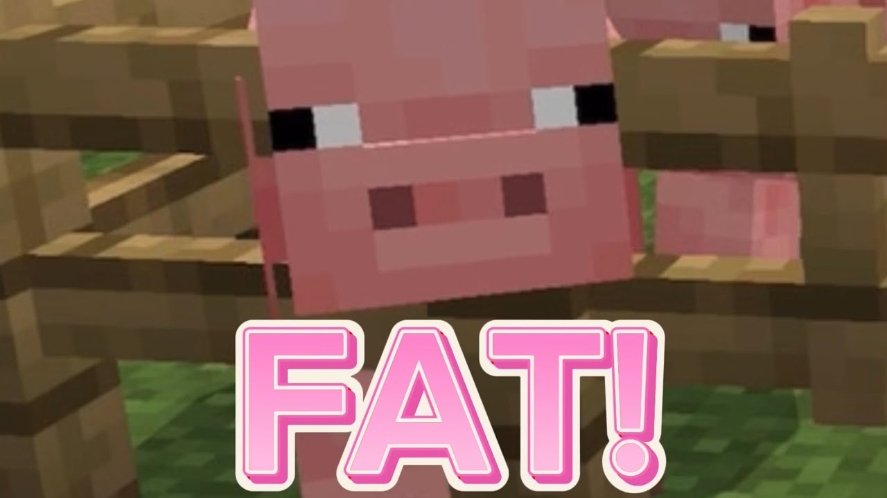 Super fat pigs! - YouTube
