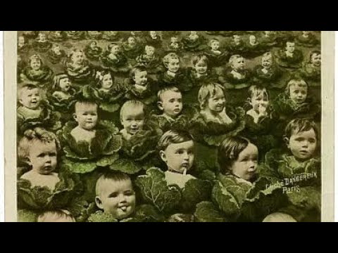 Cabbage patch kids,clones and the orphan trains #cabbagepatch #orphan # ...