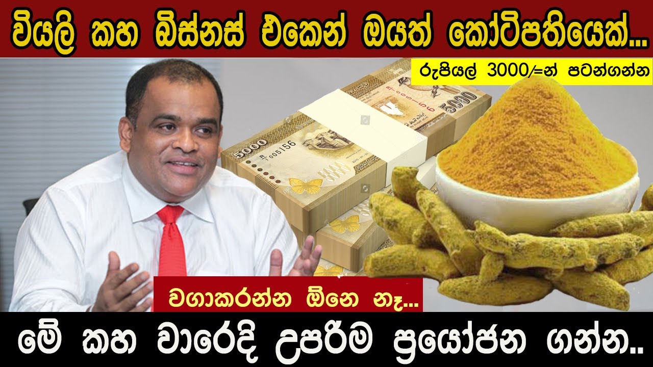 How to start turmeric powder business | new business idea for 2022 | කහ ...