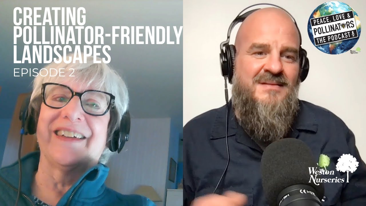 Creating Pollinator-Friendly Landscapes w. Cheryl Salatino | Peace ...