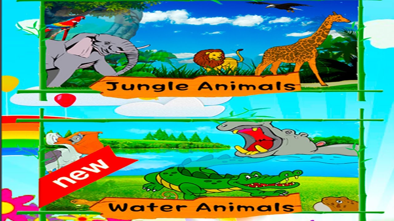 Best Animals Learning HD Animals Sounds For Toddlers Learning Wild ...